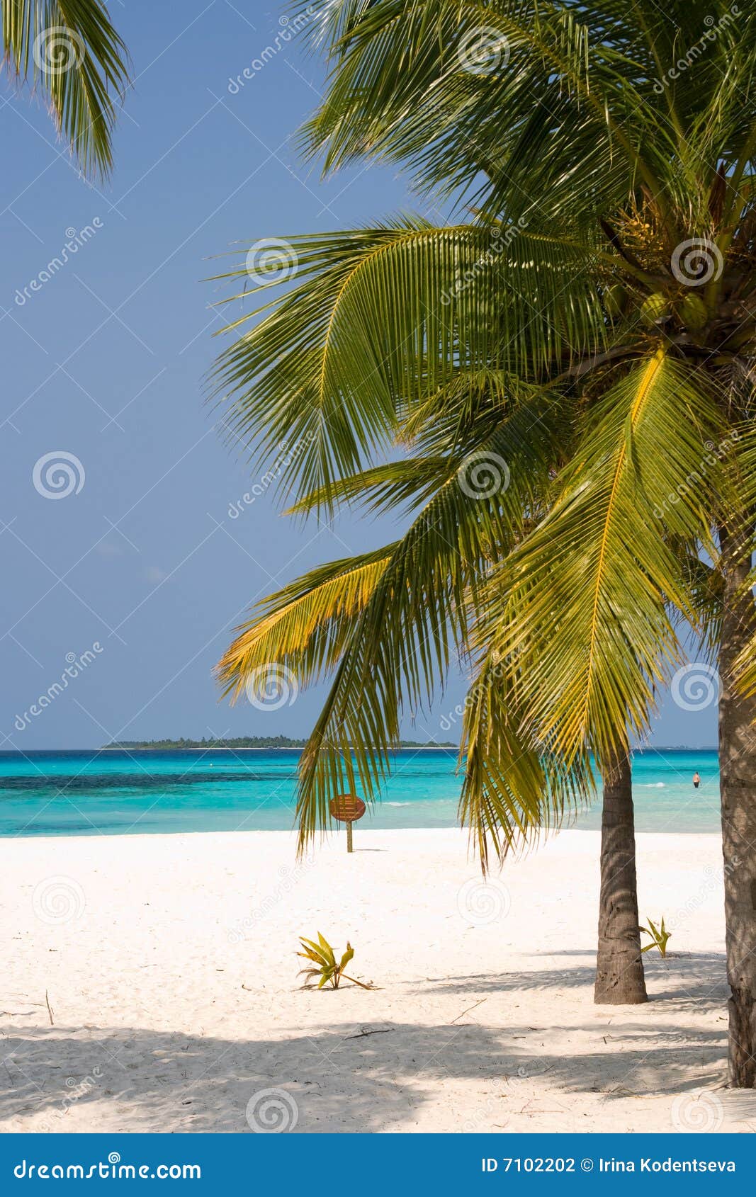 Tropic island stock photo. Image of ocean, resort, sand - 7102202