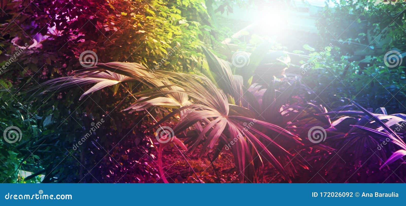 Tropic Leaves and Tropical Plants in Neon Fluorescent Multicolor Lights ...