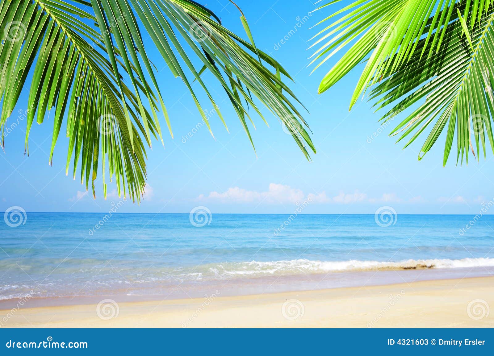 Tropic scene stock image. Image of plant, journey, idyllic - 4321603