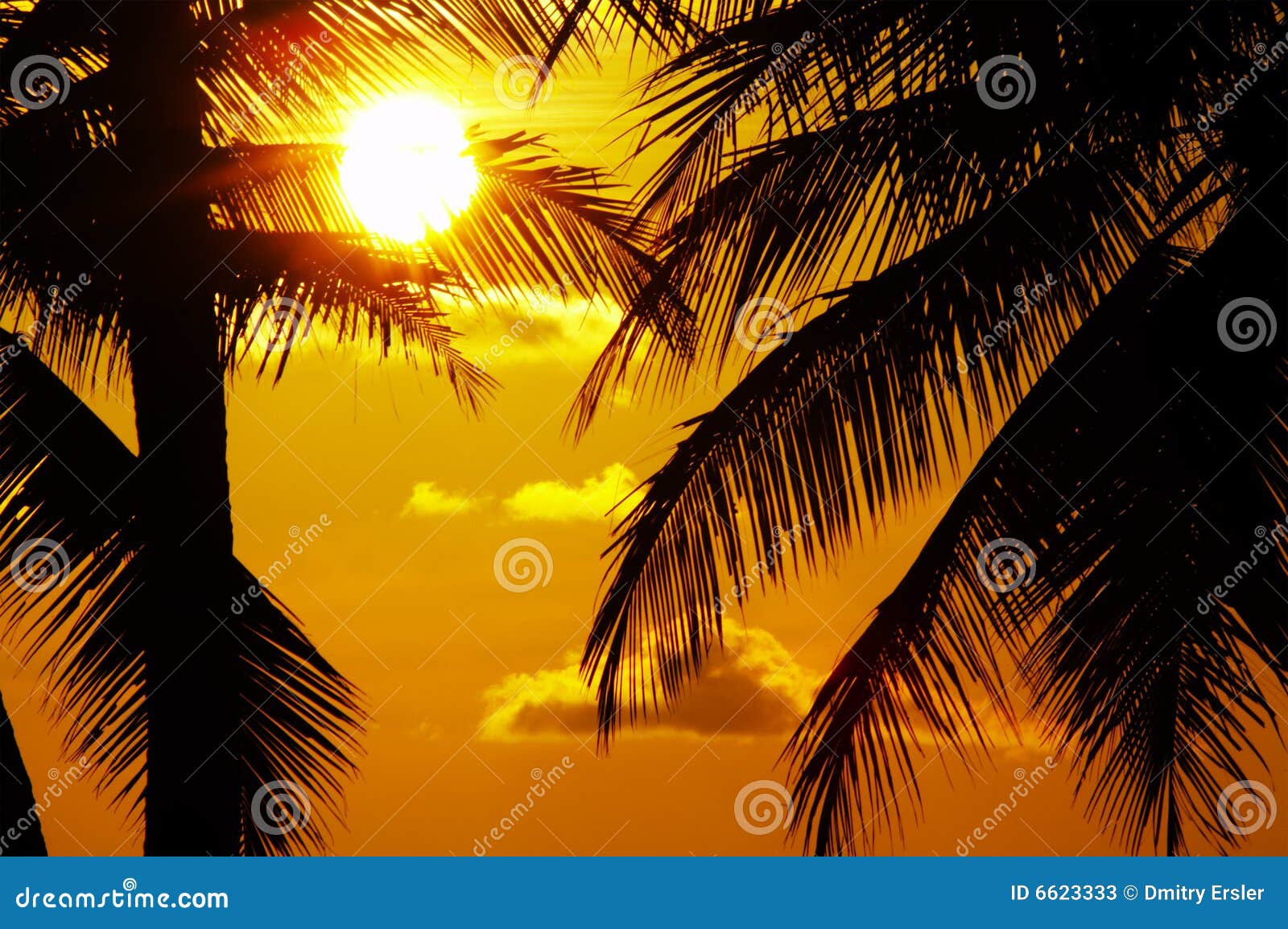 Tropic sunset stock image. Image of beach, idyllic, evening - 6623333