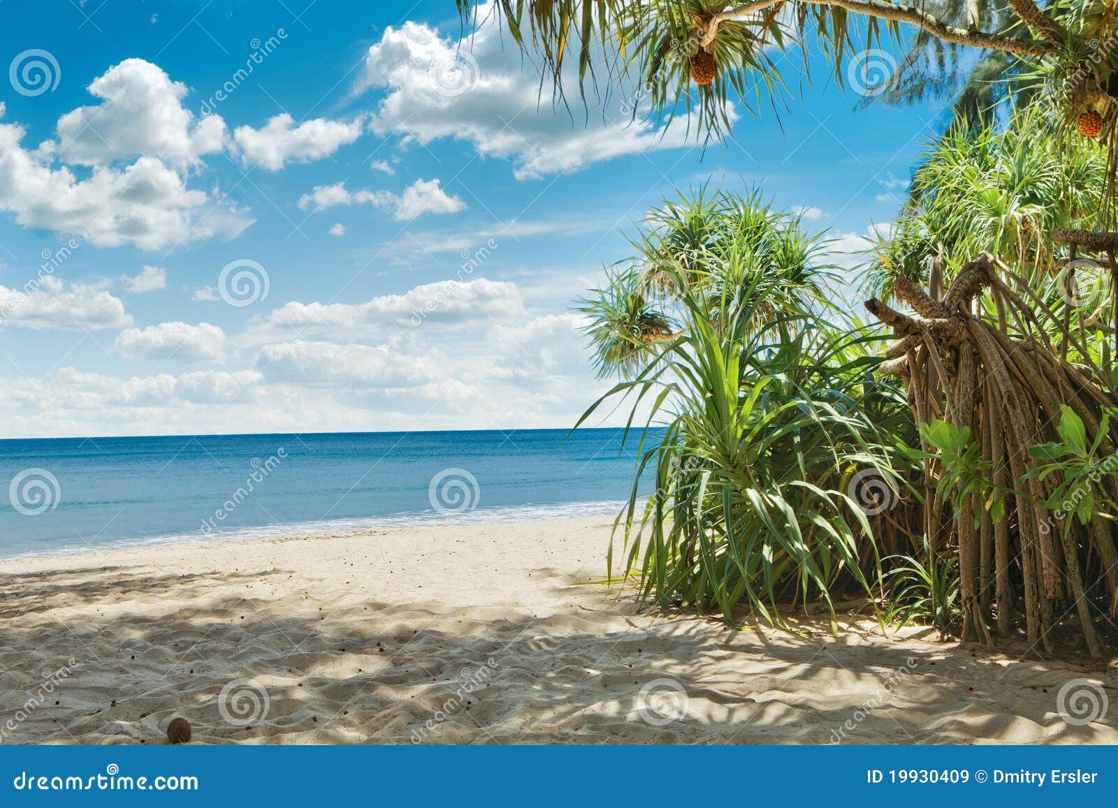 Tropic view stock image. Image of mangrove, relaxation - 19930409