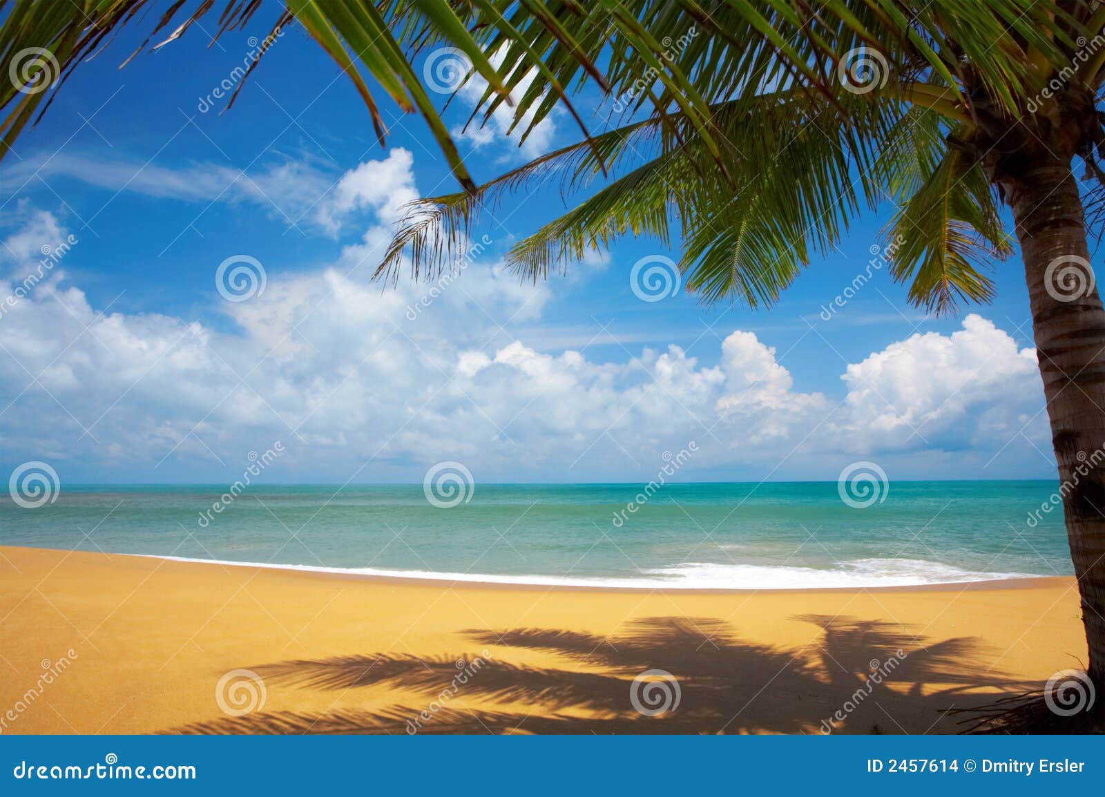 91,182 Tropic Bay Stock Photos - Free & Royalty-Free Stock Photos from ...