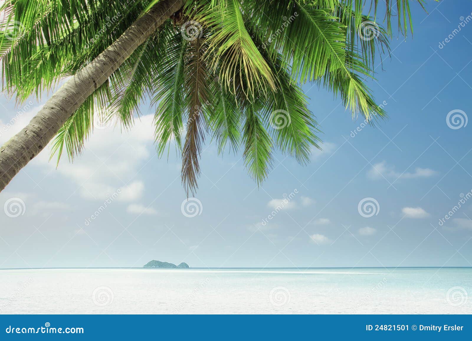 Tropic view stock image. Image of plage, holiday, resort - 24821501