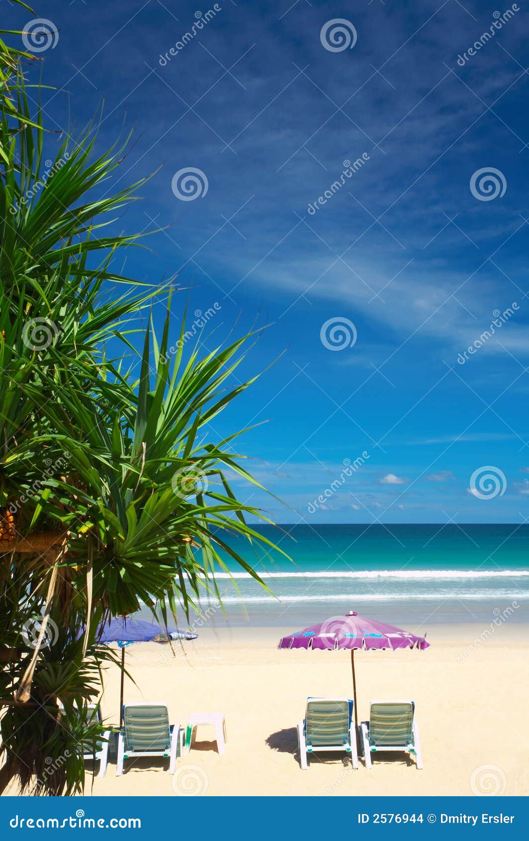 Tropic view stock photo. Image of resort, palm, mangrove - 2576944