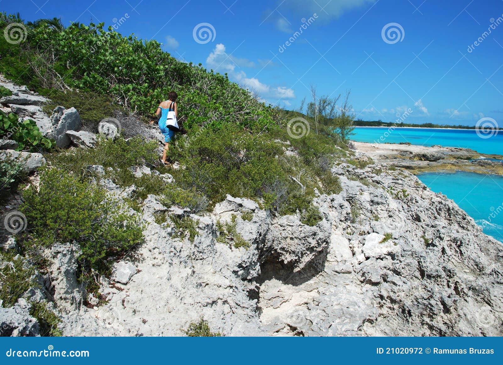 Tropical Adventure stock photo. Image of vacation, caribbean - 21020972