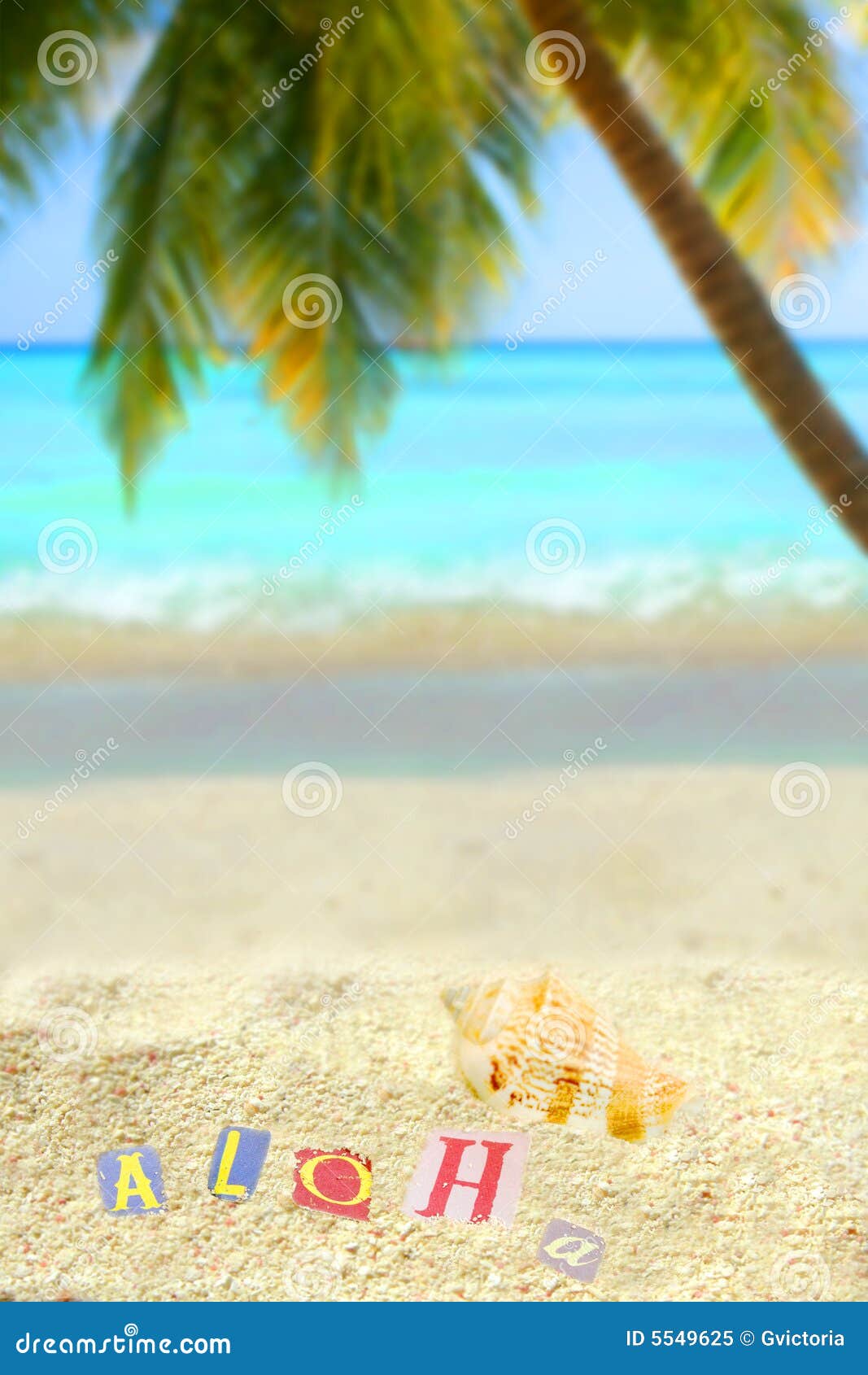 Tropical aloha imagen de archivo. Imagen de hola, recorrido - 5549625