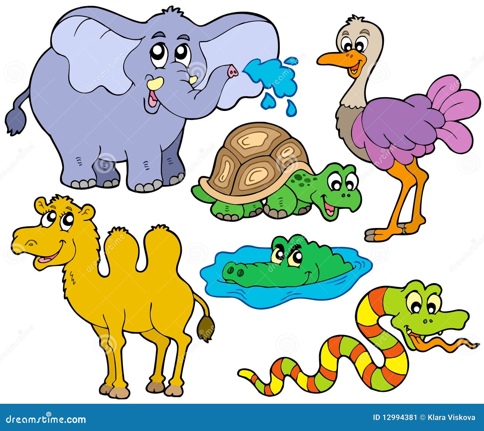 Tropical Animals Vector Set In Flat Style Design. Jungle Birds, Mammals ...