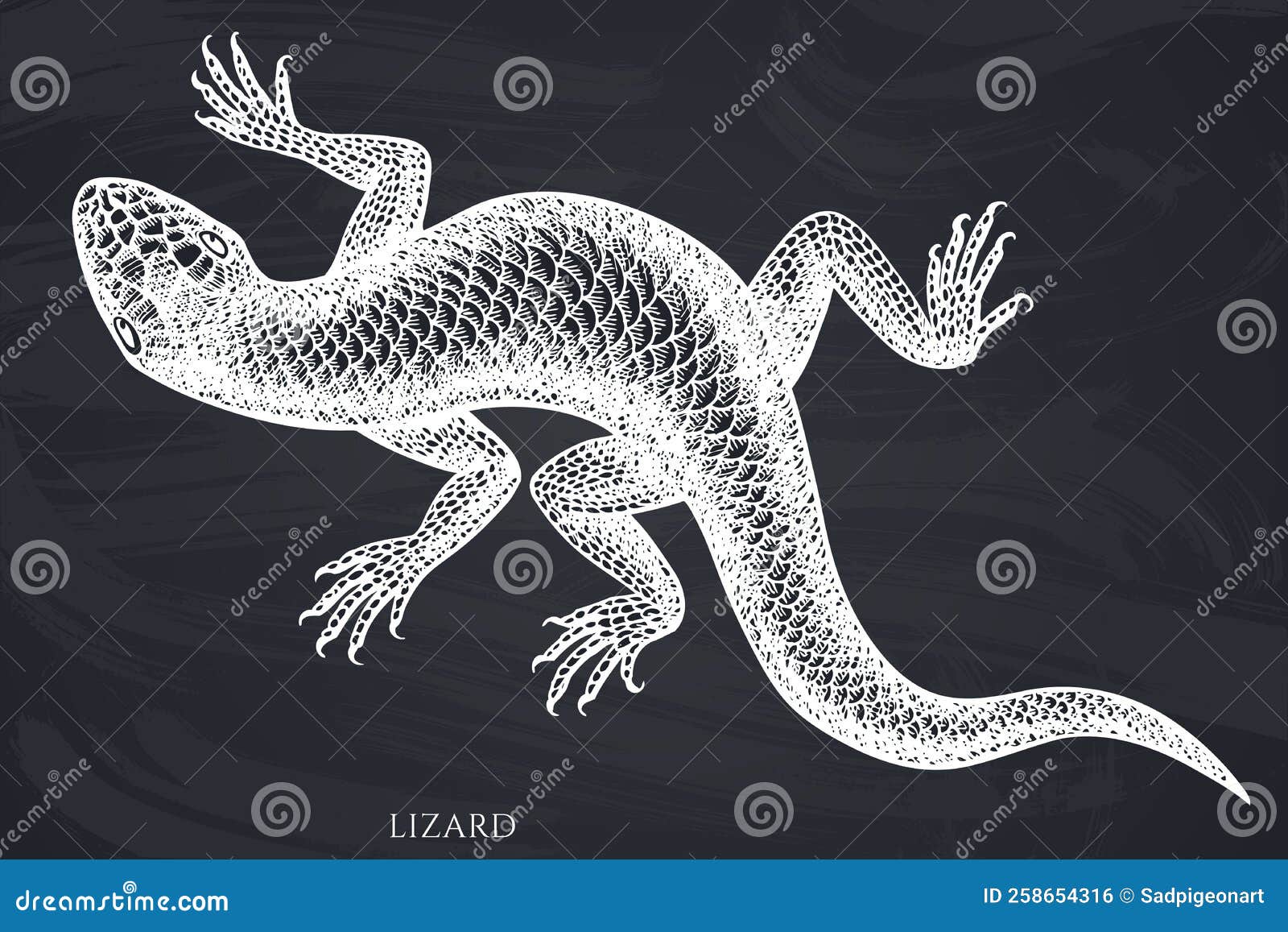 Tropical Animals Hand Drawn Vector Illustrations Collection. Chalk ...