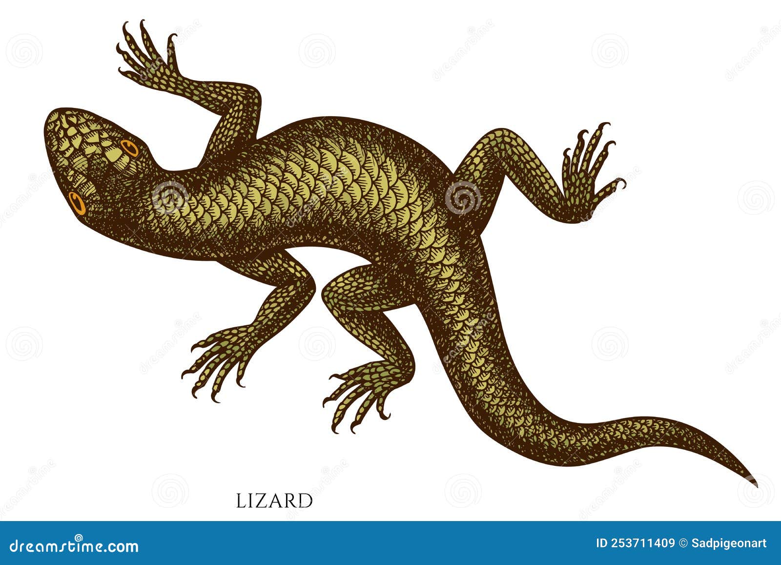 Tropical Animals Hand Drawn Vector Illustrations Collection. Colored ...