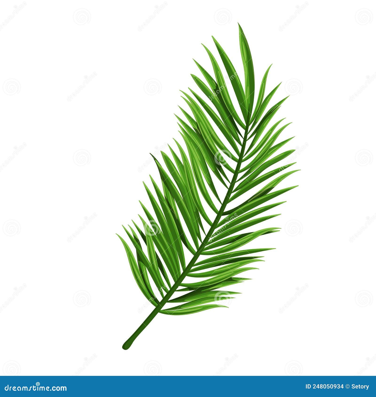 Tropical areca palm leaf. stock vector. Illustration of tree - 248050934