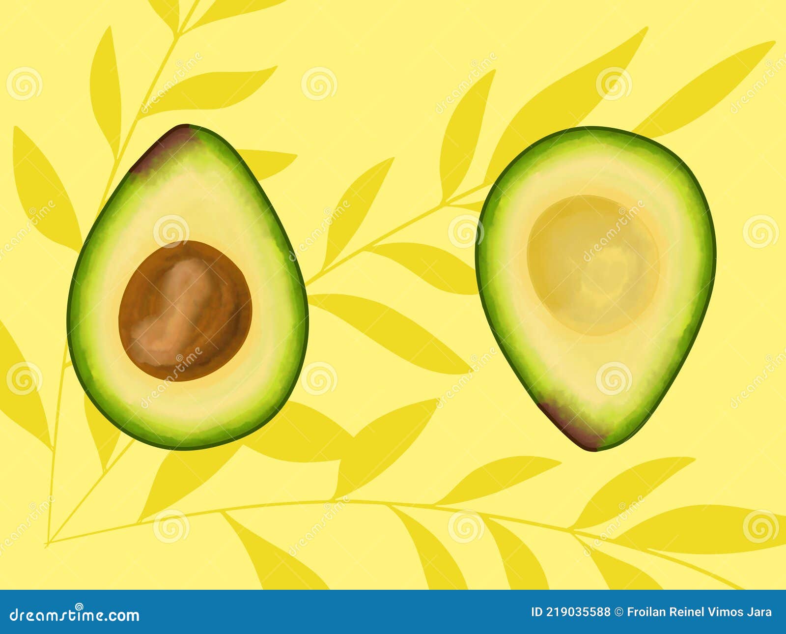 Tropical Avocado Cut Vertically in Yellow Stock Illustration ...