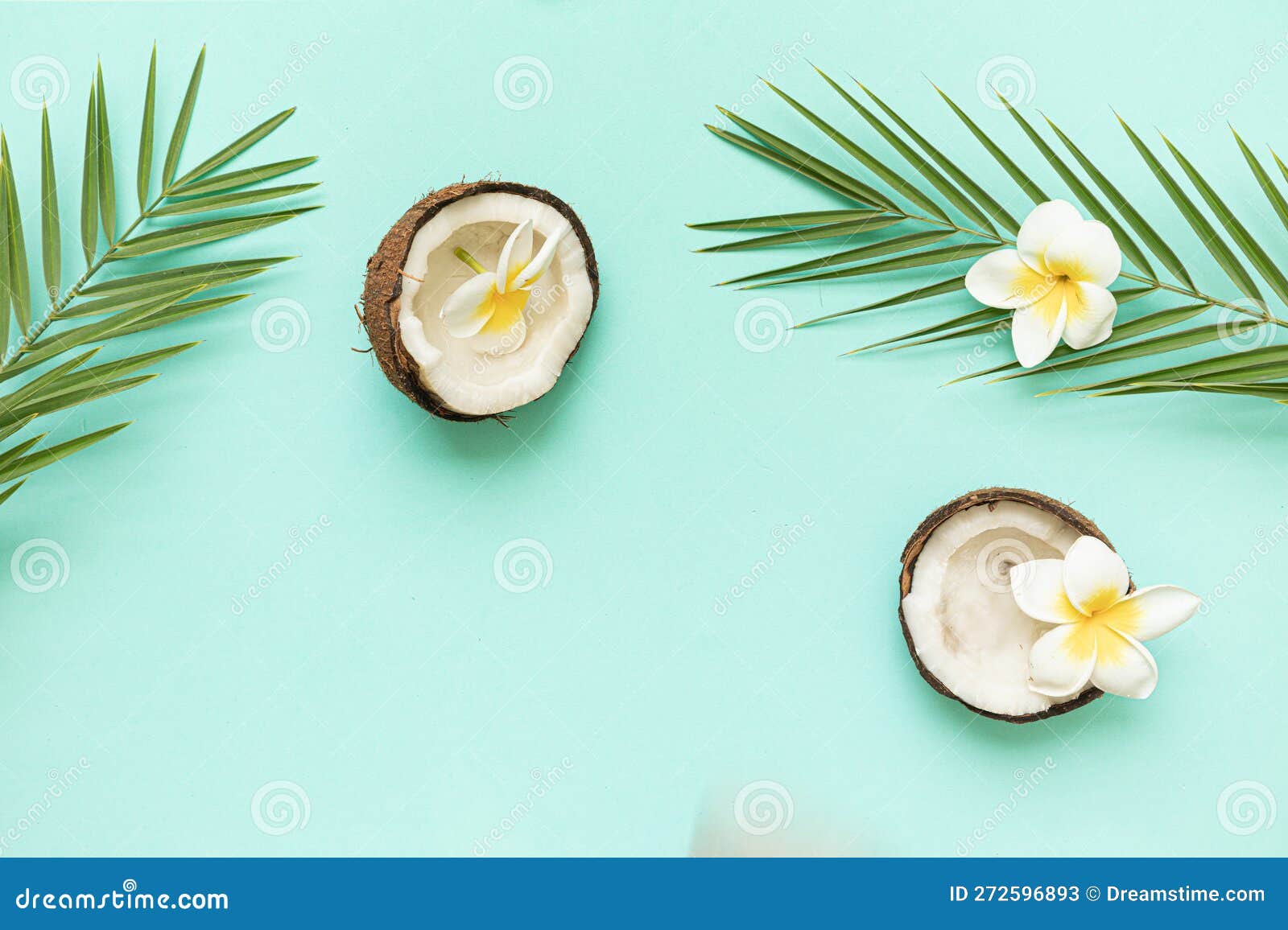 Tropical Background with Coconut and Palm Leaves. Stock Image - Image ...