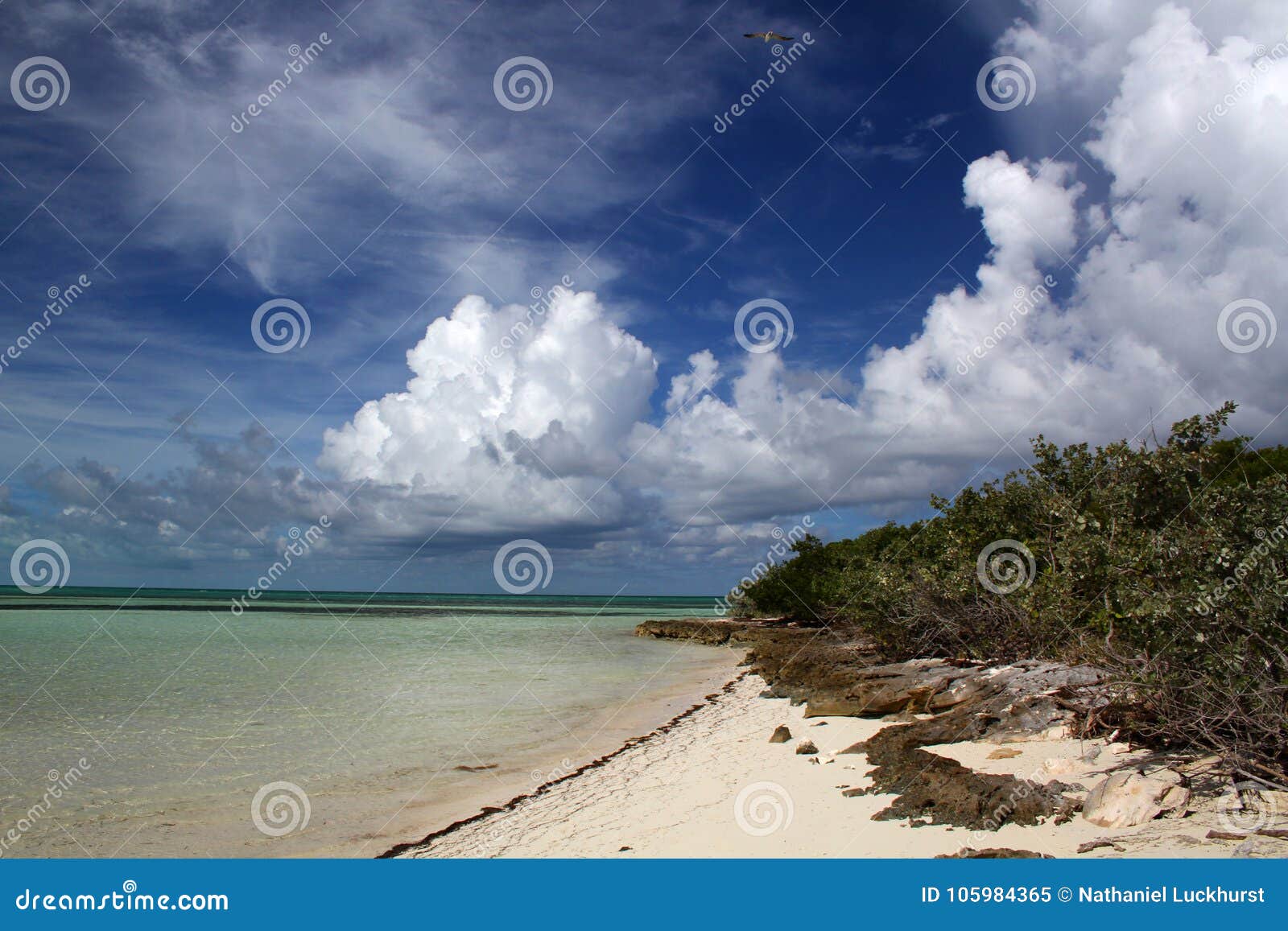 Tropical Bahama Beach stock image. Image of clouds, ocean - 105984365