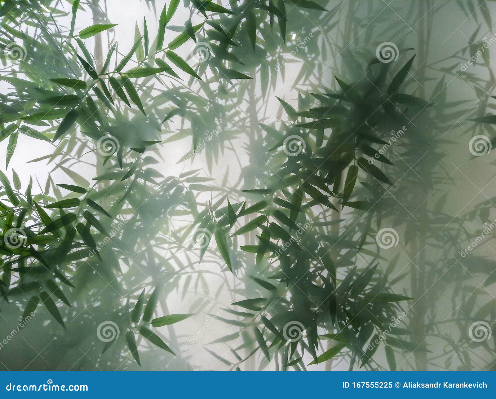 Frosted Glass Texture Stock Photography | CartoonDealer.com #17894876 Frosted Glass Texture Stock Photography | CartoonDealer.com #17894876