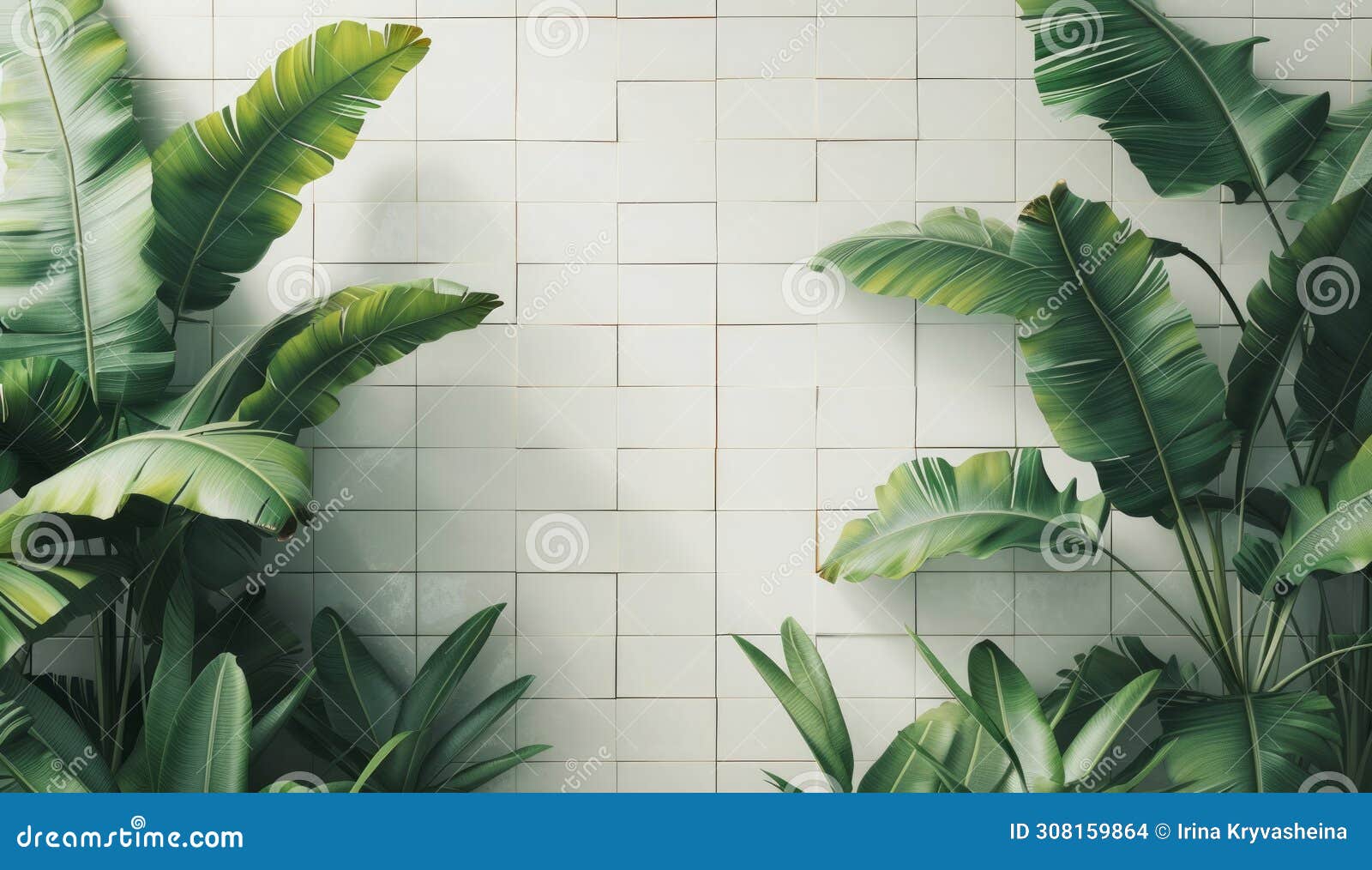Tropical Banana Leaves and a White Tile Wall Stock Photo - Image of ...