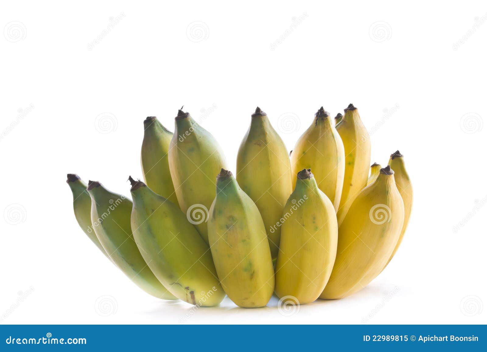 Tropical Bananas Dominican Republic Punta Cana Royalty-Free Stock Photo ...