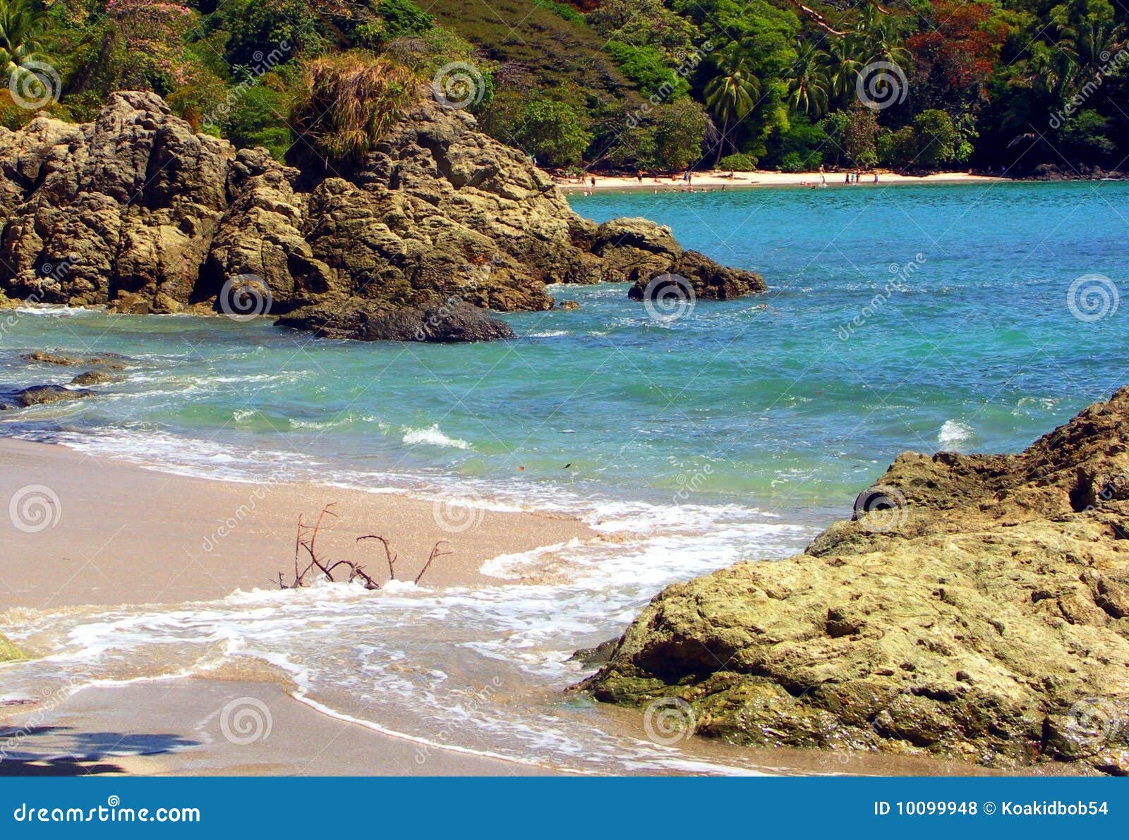 Tropical Beach stock photo. Image of water, seascape - 10099948