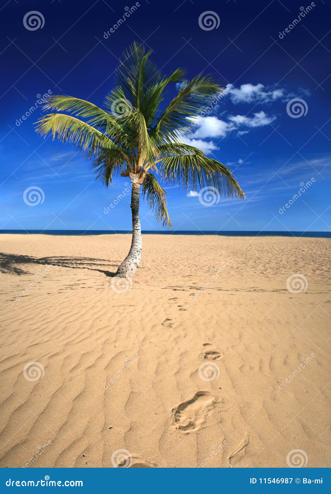 Tropical beach stock image. Image of relaxation, beauty - 11546987