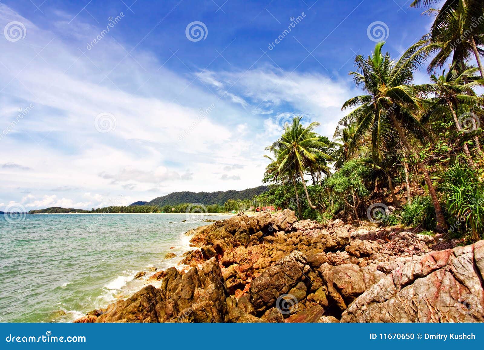 On the tropical beach stock photo. Image of colorful - 11670650