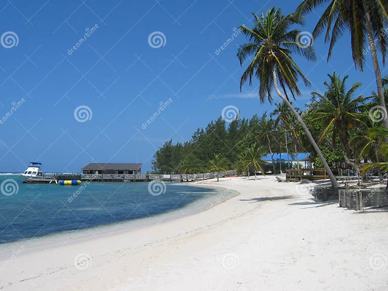 Tropical Beach stock image. Image of cayman, fishing, palm - 1290357