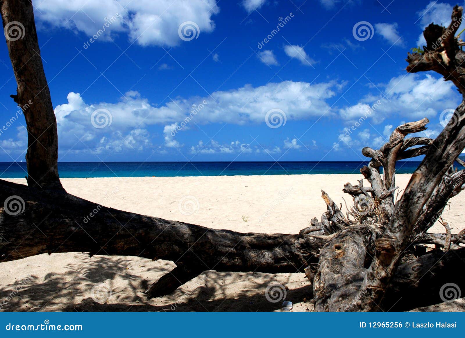Tropical beach stock photo. Image of lagoon, scenic, nature - 12965256