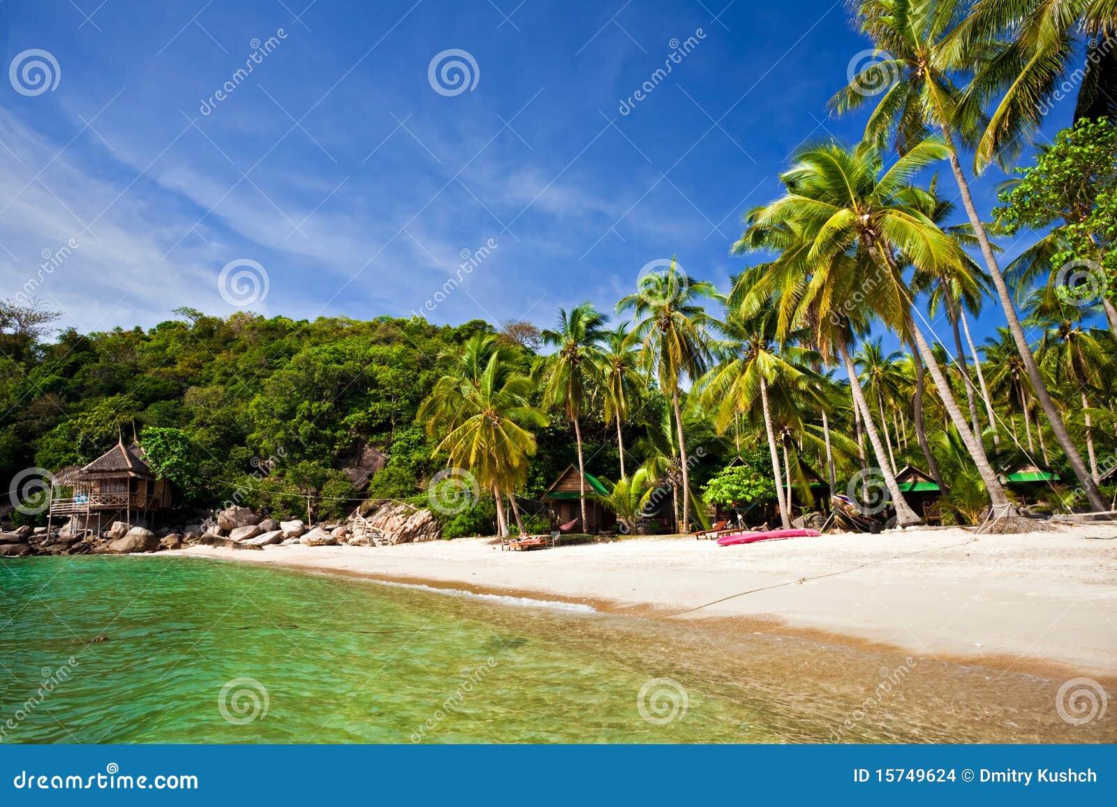 On the tropical beach stock photo. Image of coastal, nature - 15749624