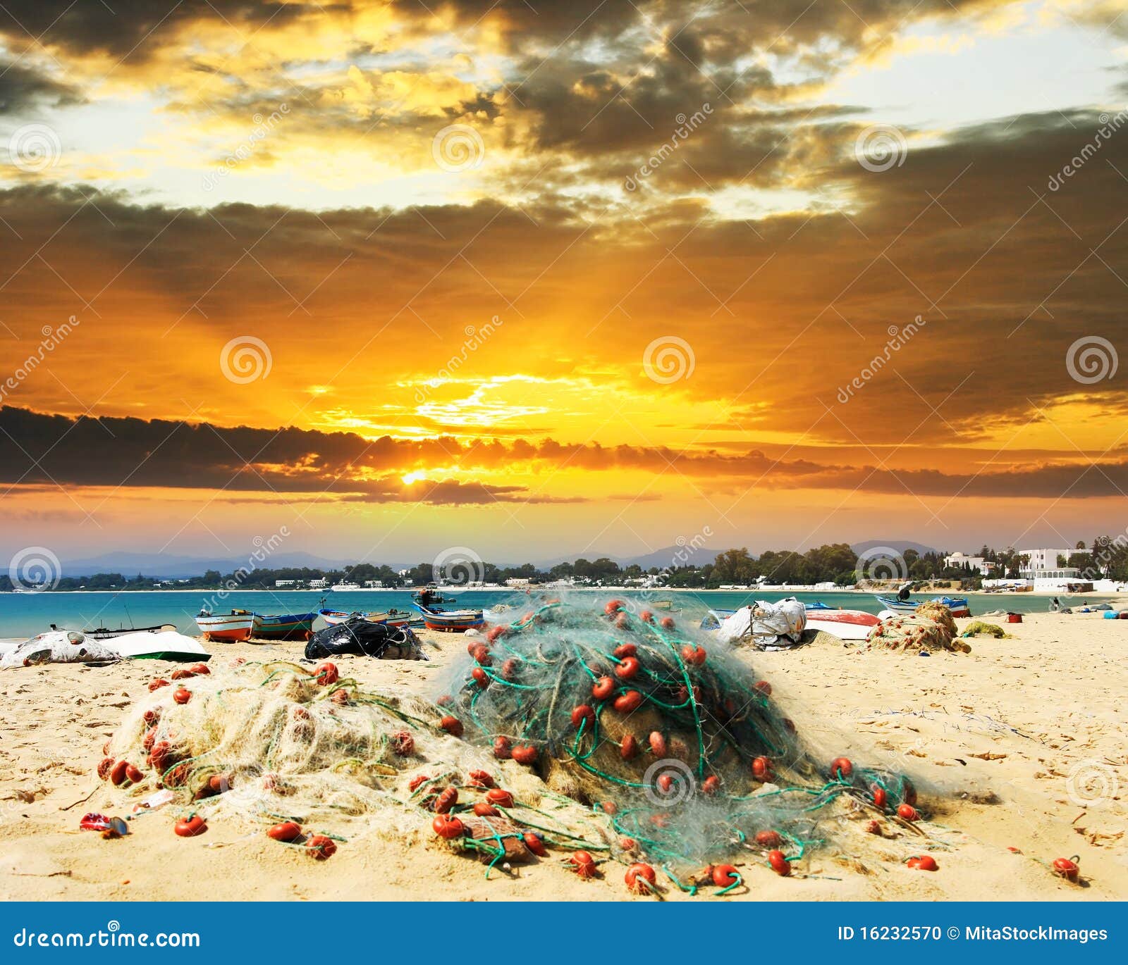 Tropical Beach Fish Stock Images - Download 30,375 Royalty Free Photos
