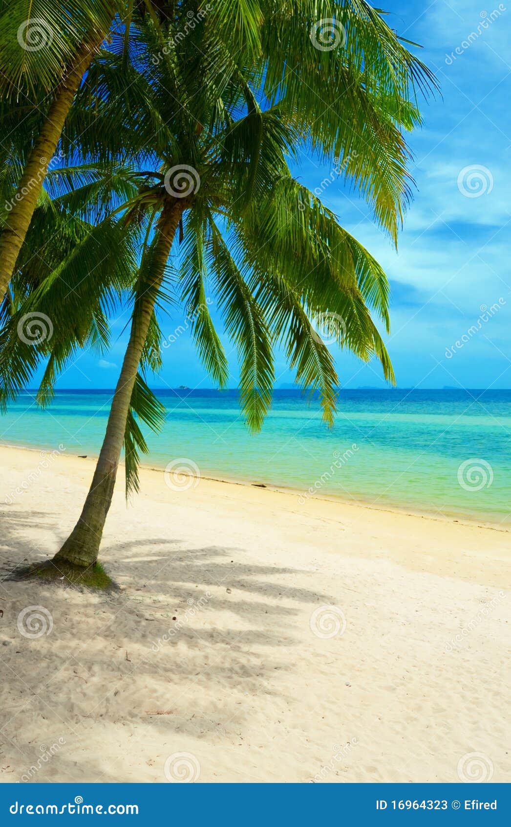 Tropical beach stock image. Image of scene, paradise - 16964323