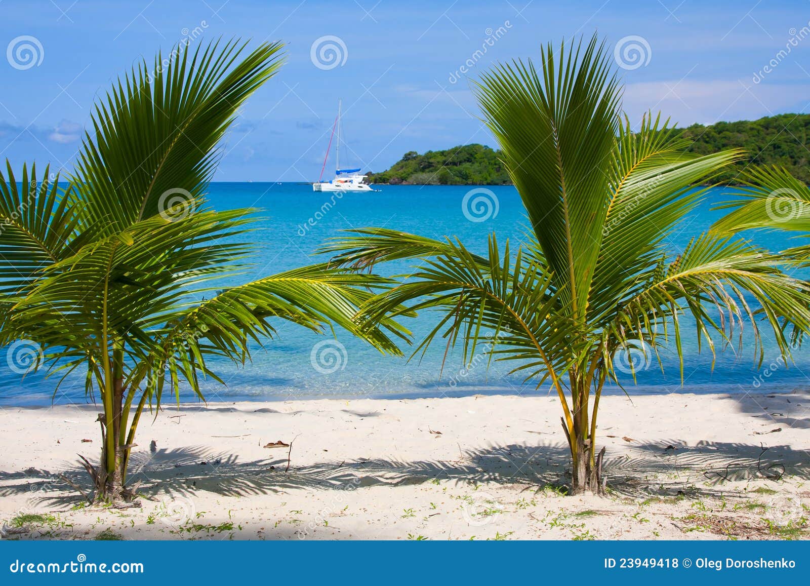 Tropical beach stock photo. Image of exotic, beautiful - 23949418