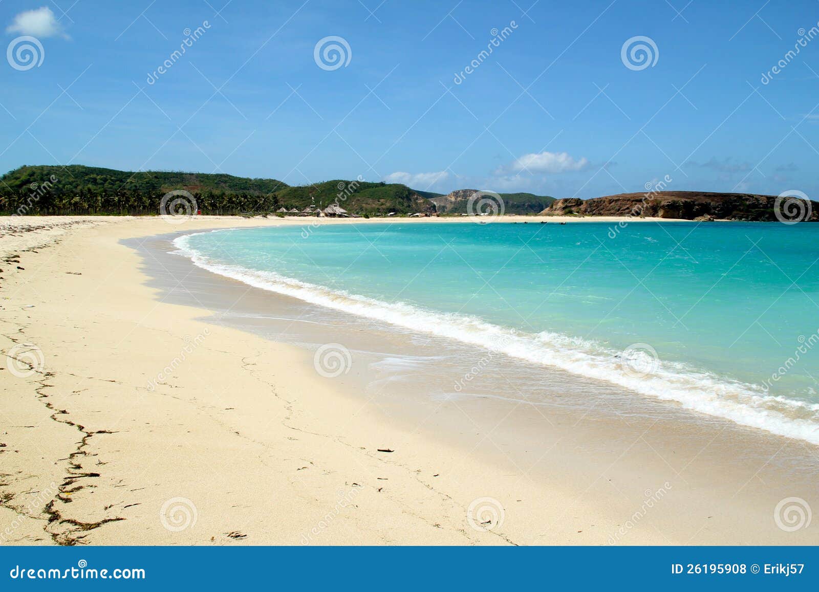 Tropical Beach stock photo. Image of palm, natural, destinations - 26195908