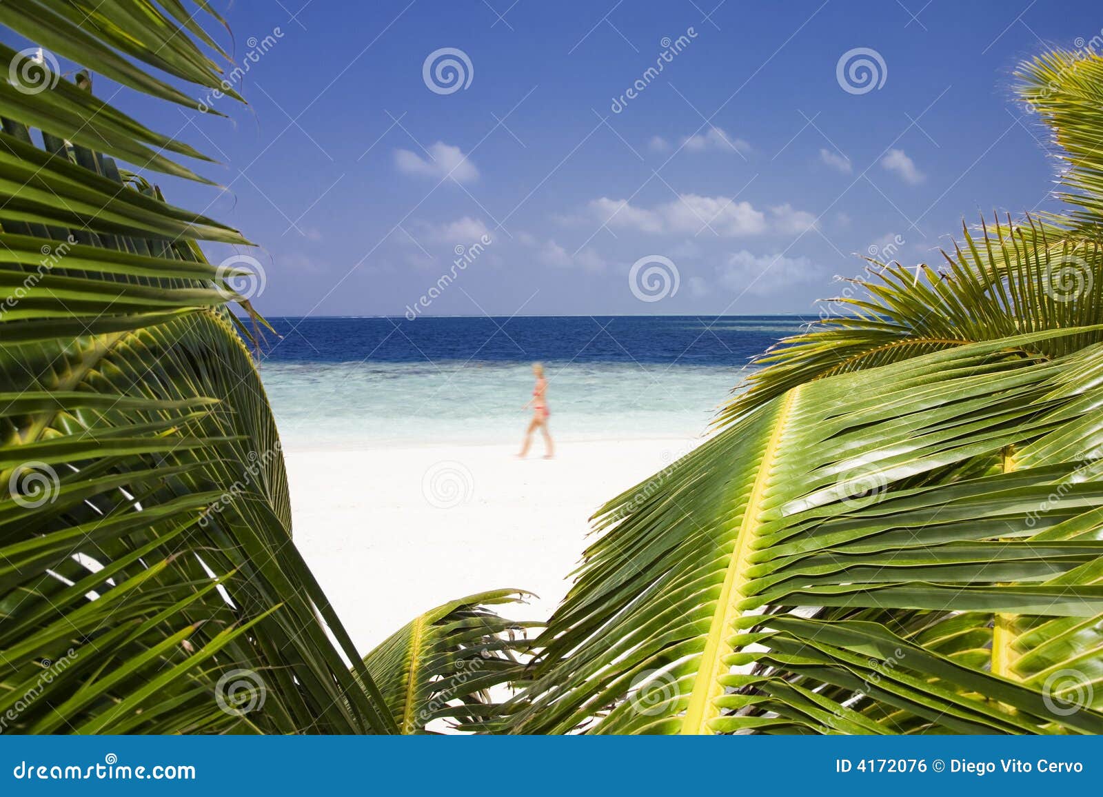 Tropical beach stock photo. Image of caribbean, destinations - 4172076