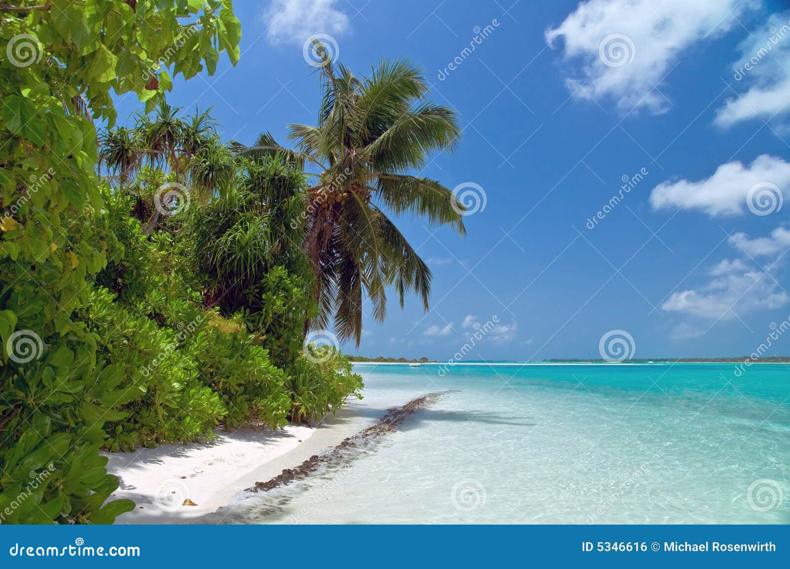 Tropical beach stock photo. Image of landscape, nature - 5346616