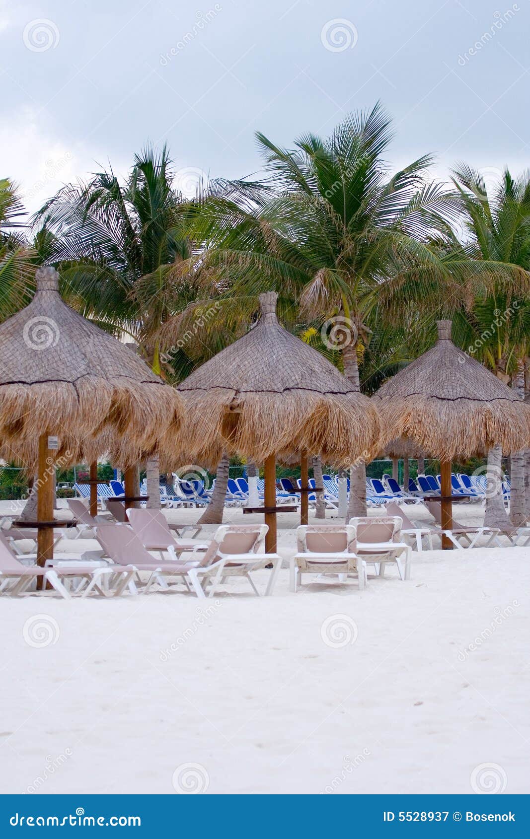 Tropical Beach Picture. Image: 5528937