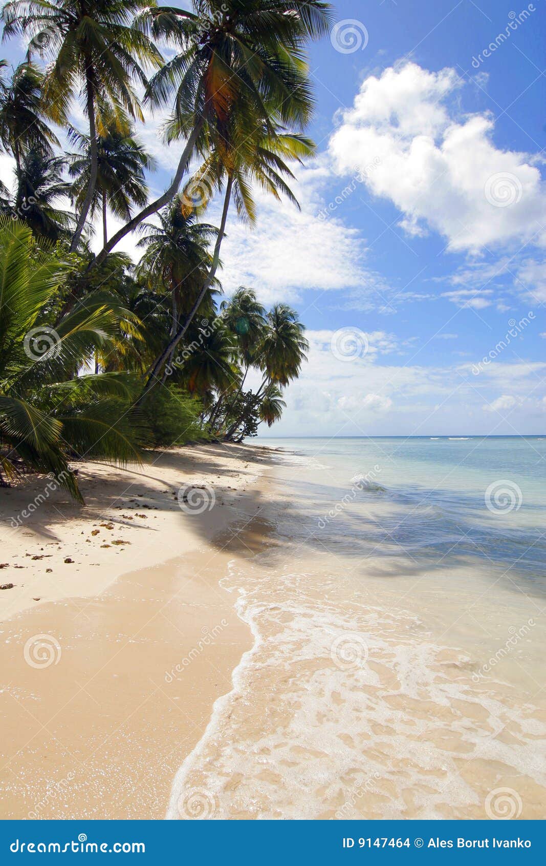 Tropical beach stock photo. Image of beach, green, indies - 9147464