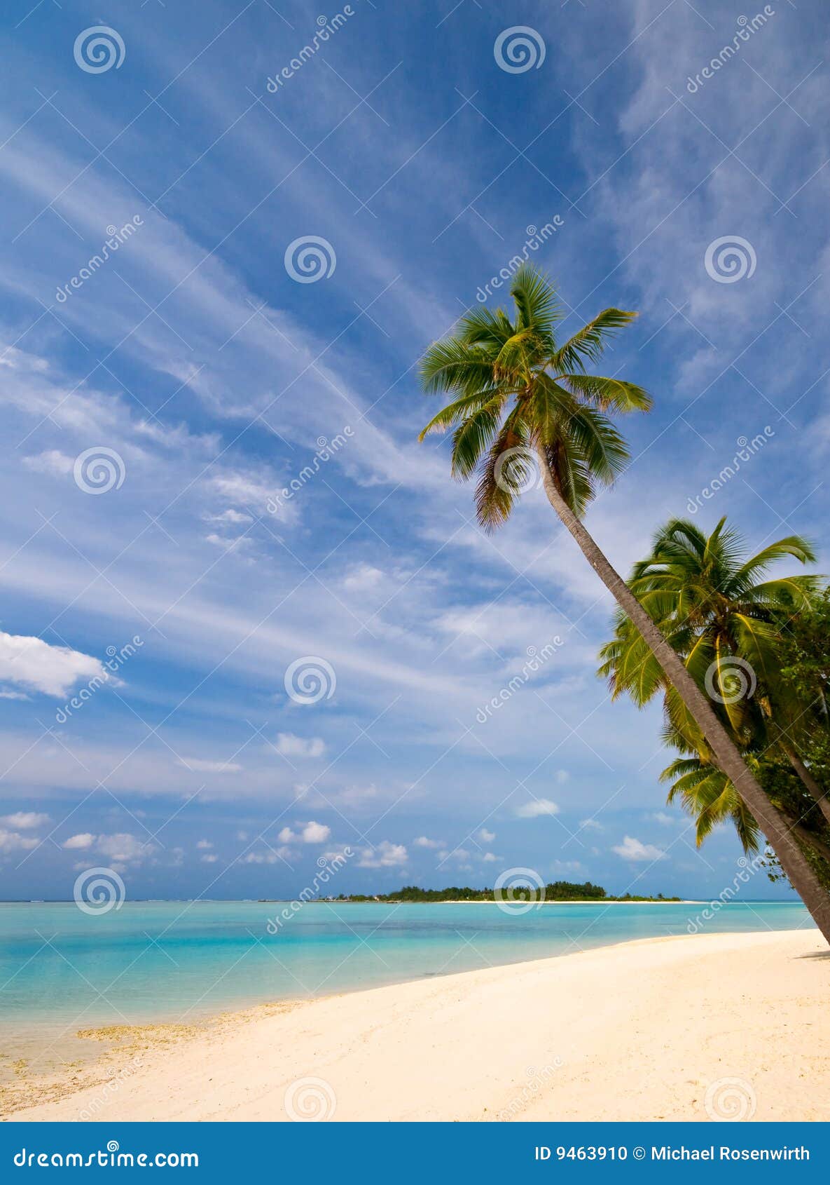Tropical Beach stock photo. Image of nature, relax, beach - 9463910