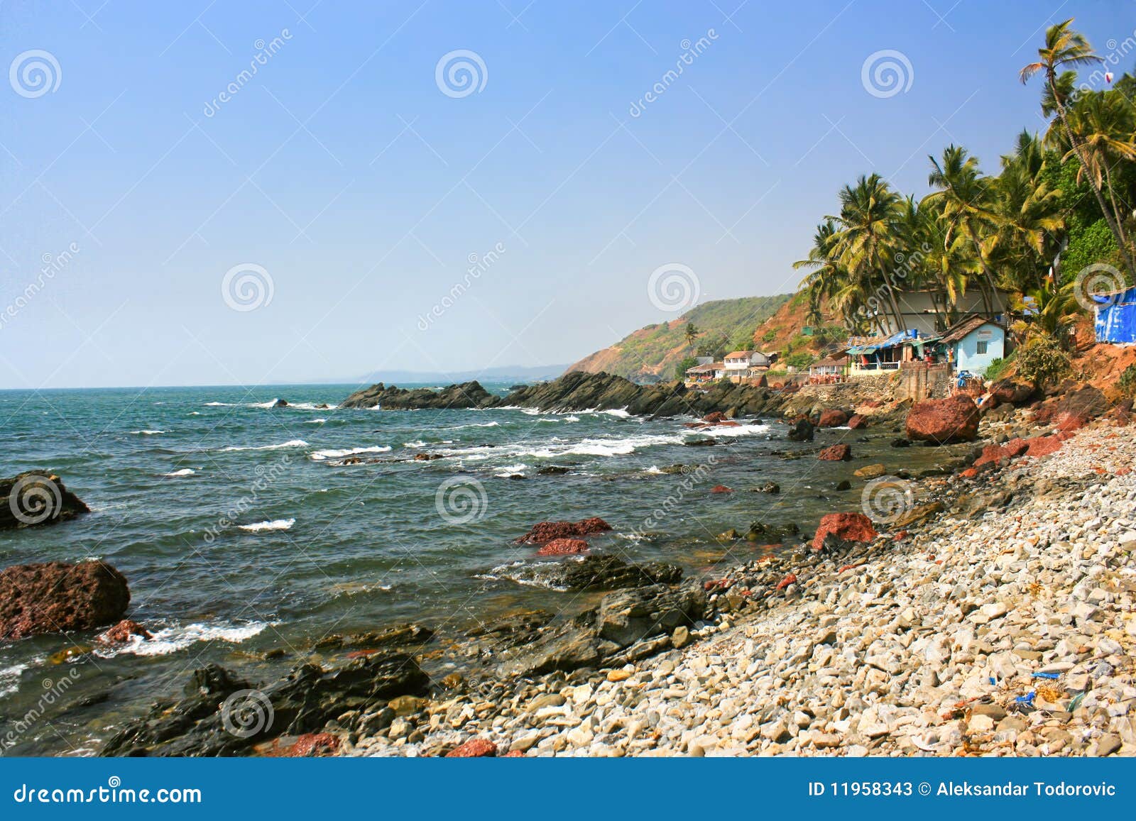 Tropical Beach in Arambola,Goa, India Stock Image - Image of coconut ...