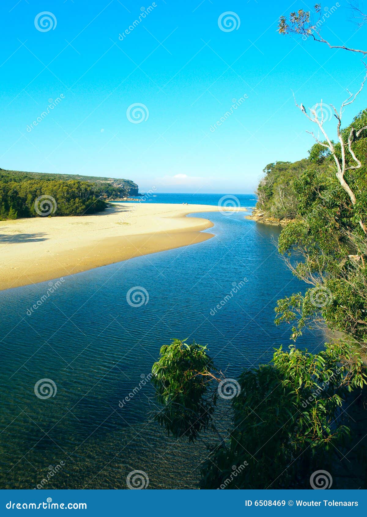 A Tropical Beach in Australia Stock Image - Image of recreation ...