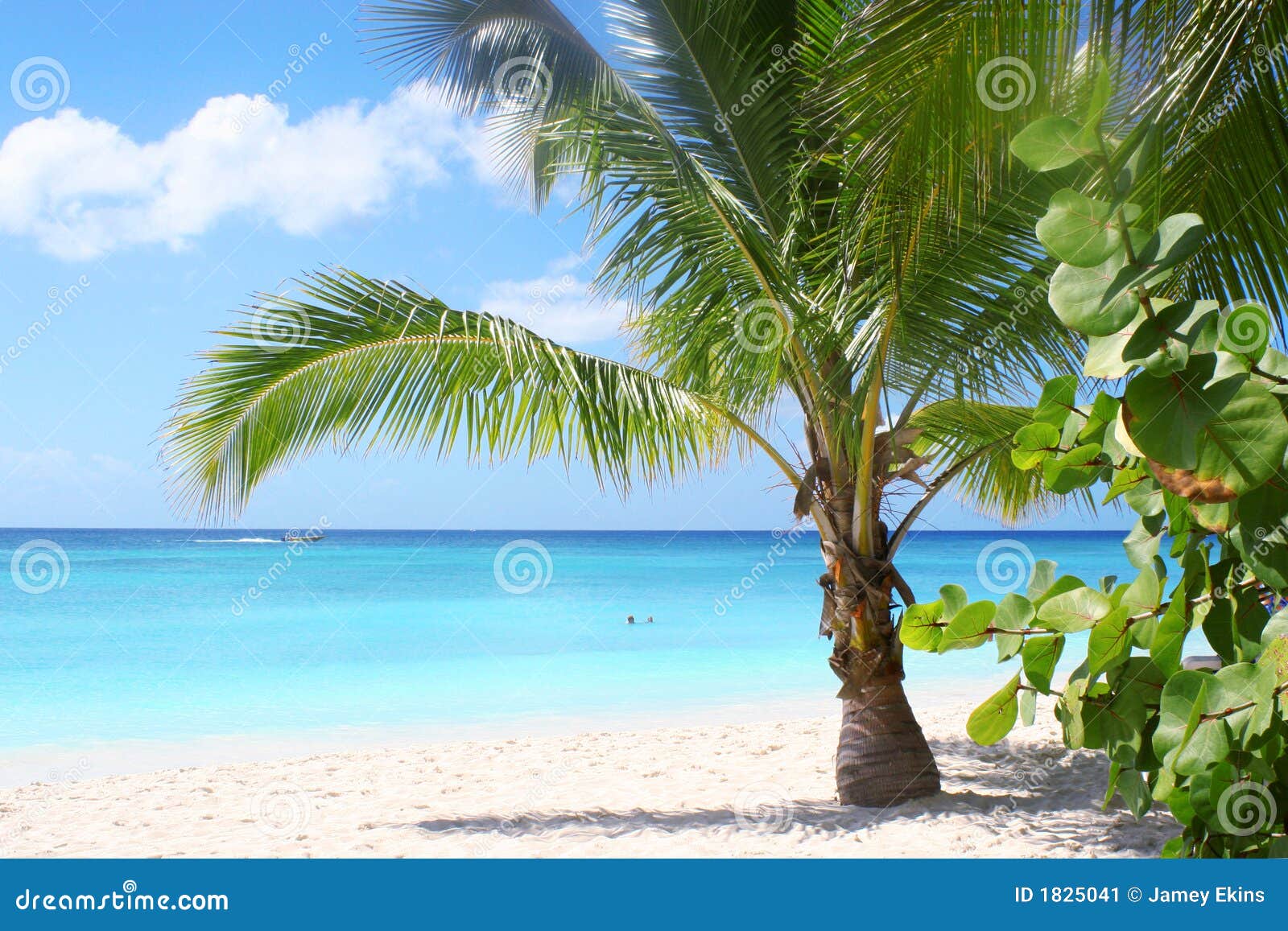 Tropical beach and bay stock image. Image of heat, palm - 1825041