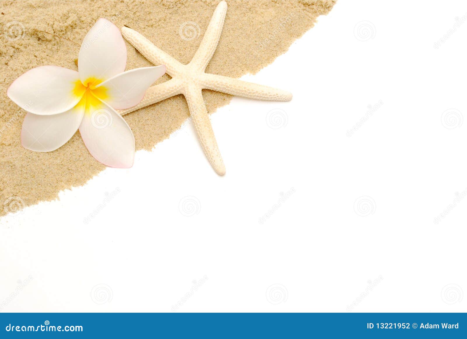 Tropical beach border stock photo. Image of beach, isolated - 13221952