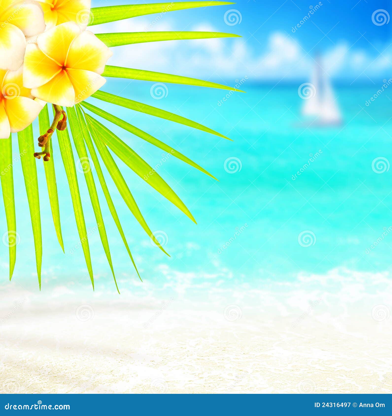 17,436 Tropical Beach Border Photos - Free & Royalty-Free Stock Photos ...