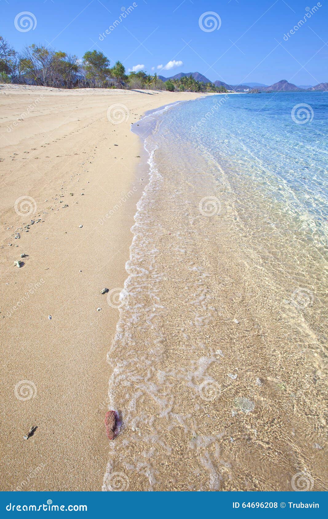 Tropical beach stock photo. Image of journey, relaxation - 64696208