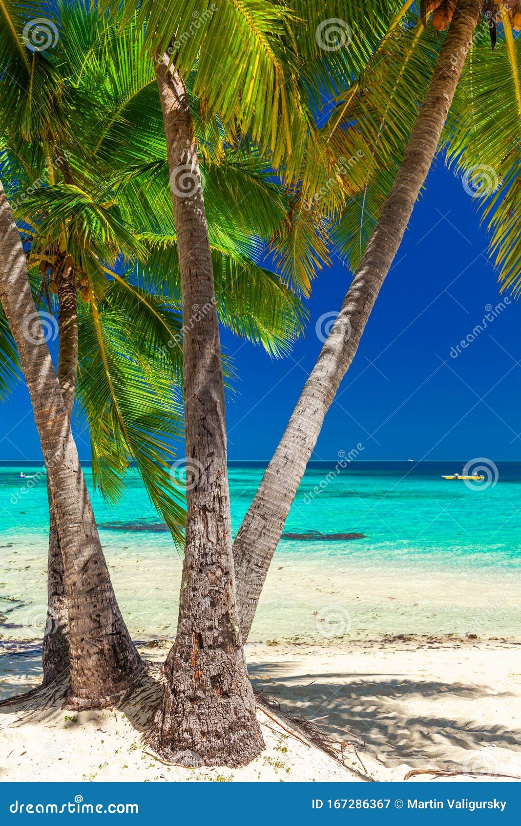 Tropical Beach With Coconut Palm Trees And Clear Lagoon Fiji Islands
