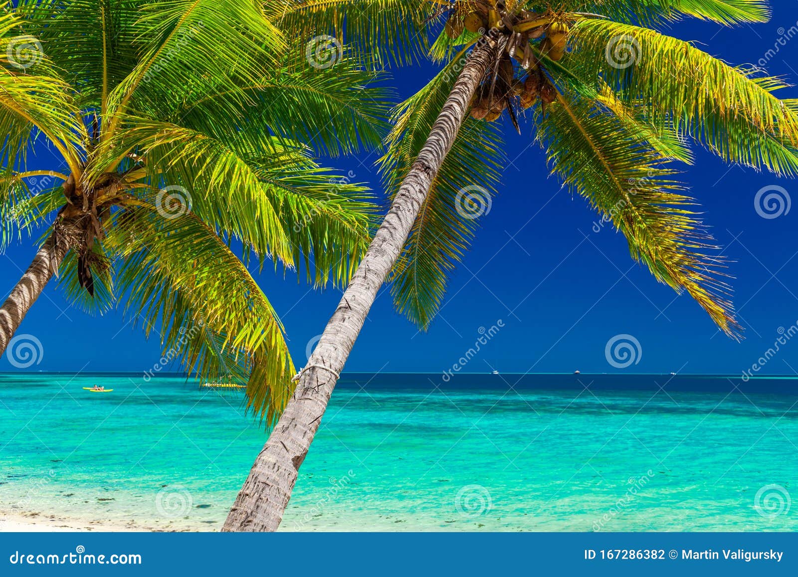 Tropical Beach With Coconut Palm Trees And Clear Lagoon Fiji Islands
