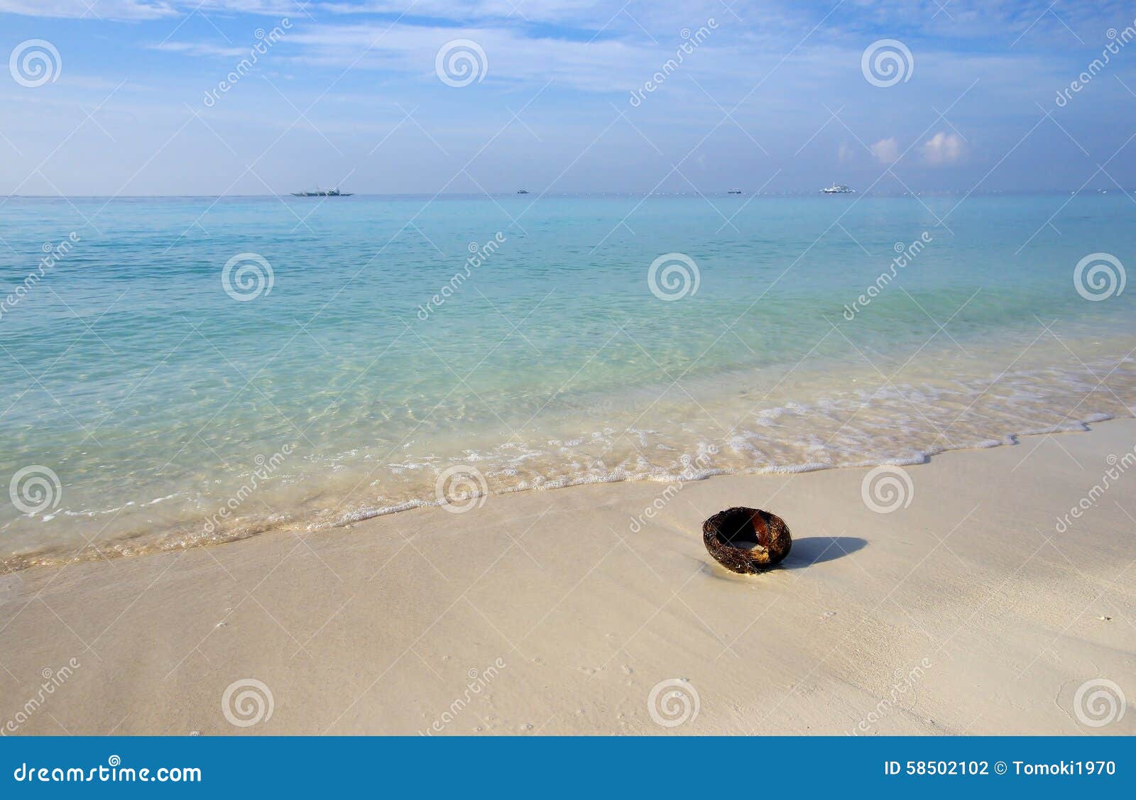 Tropical Beach with a Coconut Shell Stock Photo - Image of sunny, palm ...