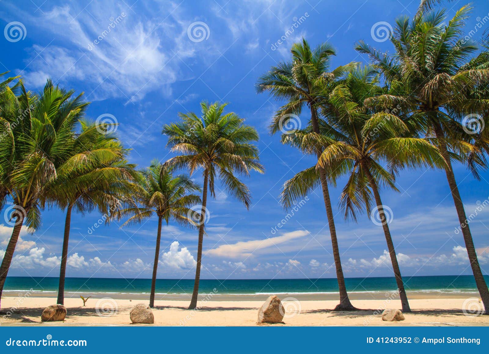 Tropical Beach with Coconut Tree Stock Photo - Image of lagoon, scenic ...