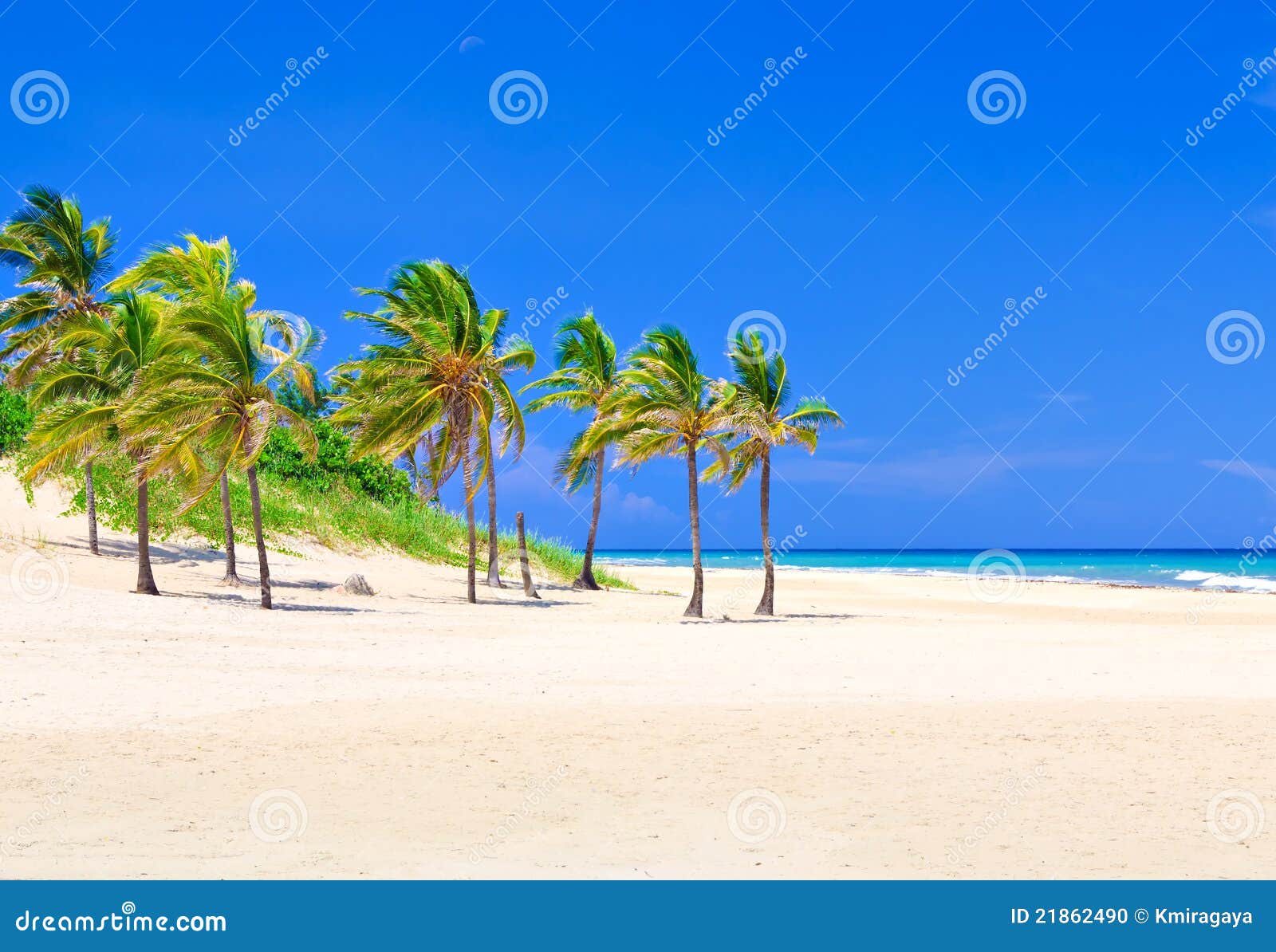 Tropical beach in Cuba stock photo. Image of holiday - 21862490