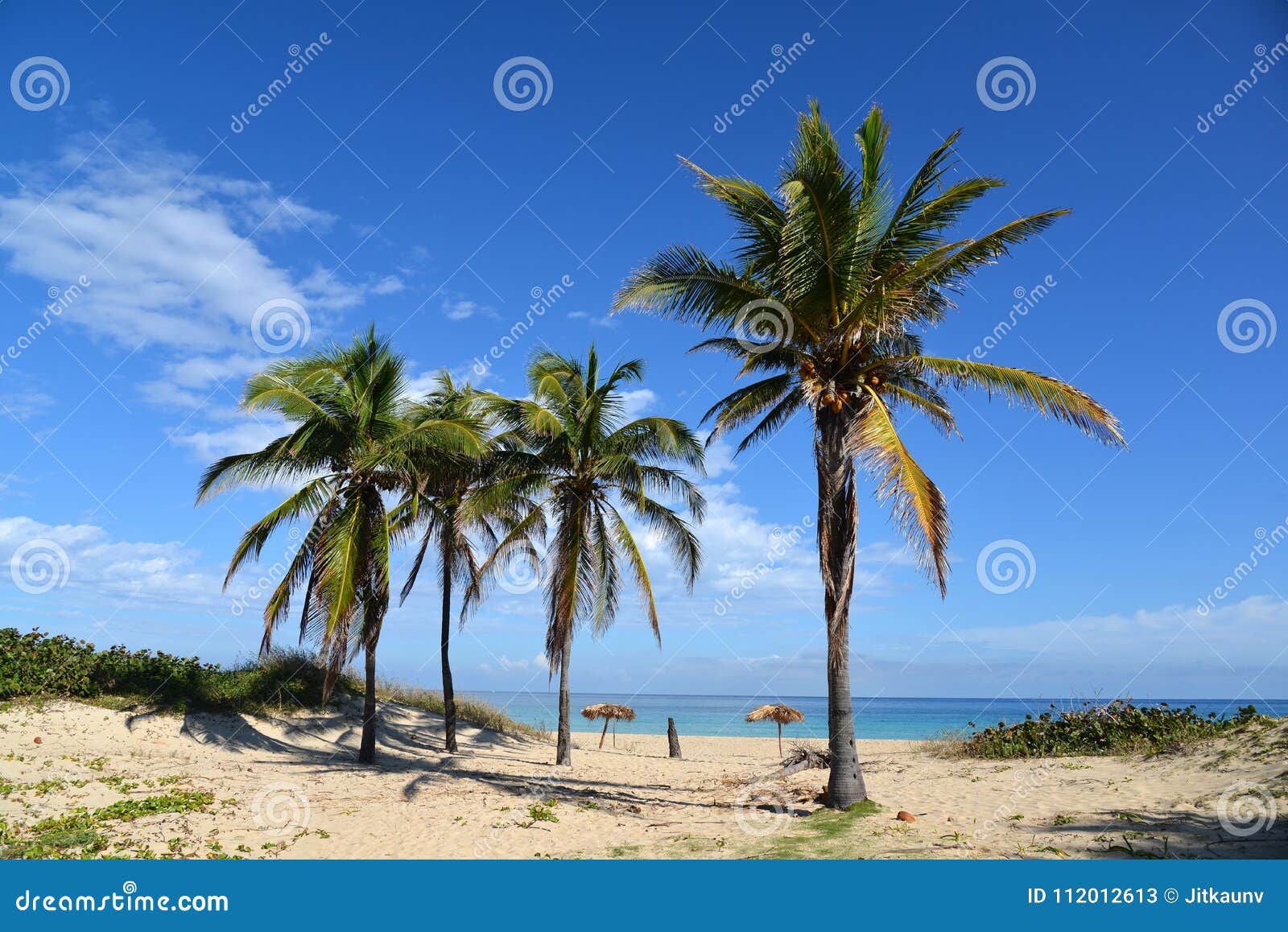 Tropical Beach. Cuba - Havana Beach. Stock Image - Image of beautiful ...
