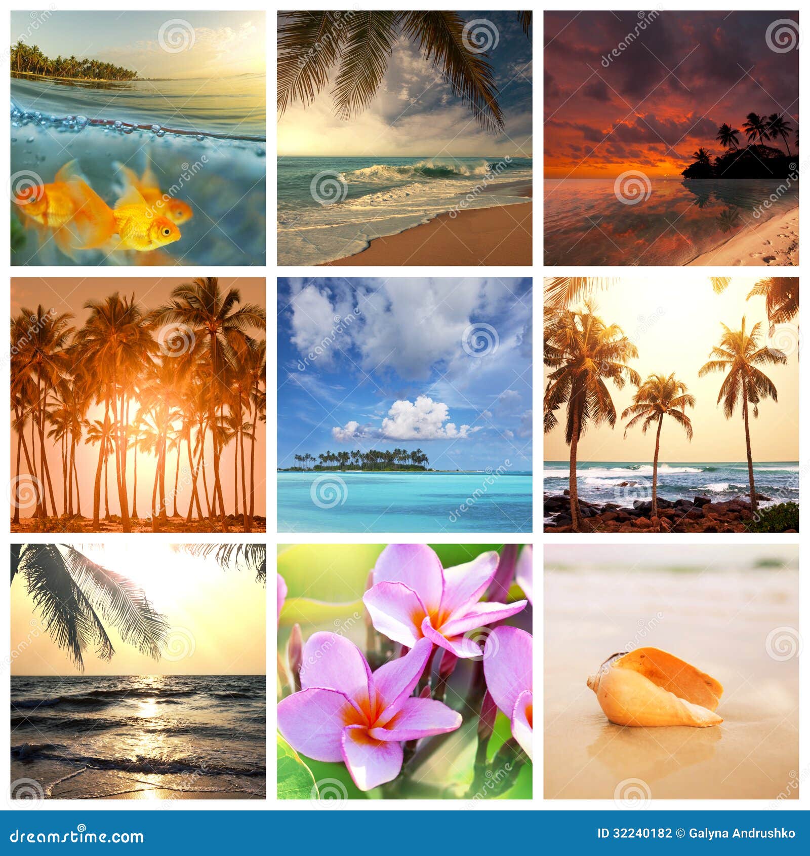 Tropical beach stock photo. Image of shore, leisure, tropical - 32240182
