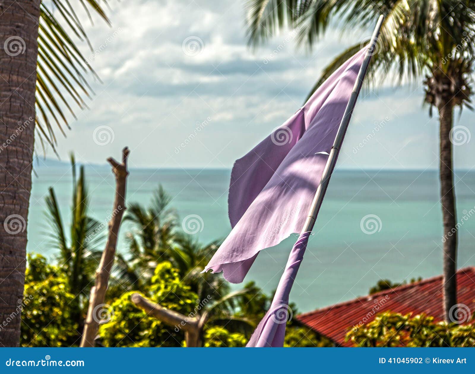 Tropical beach with flag. stock photo. Image of seascape - 41045902