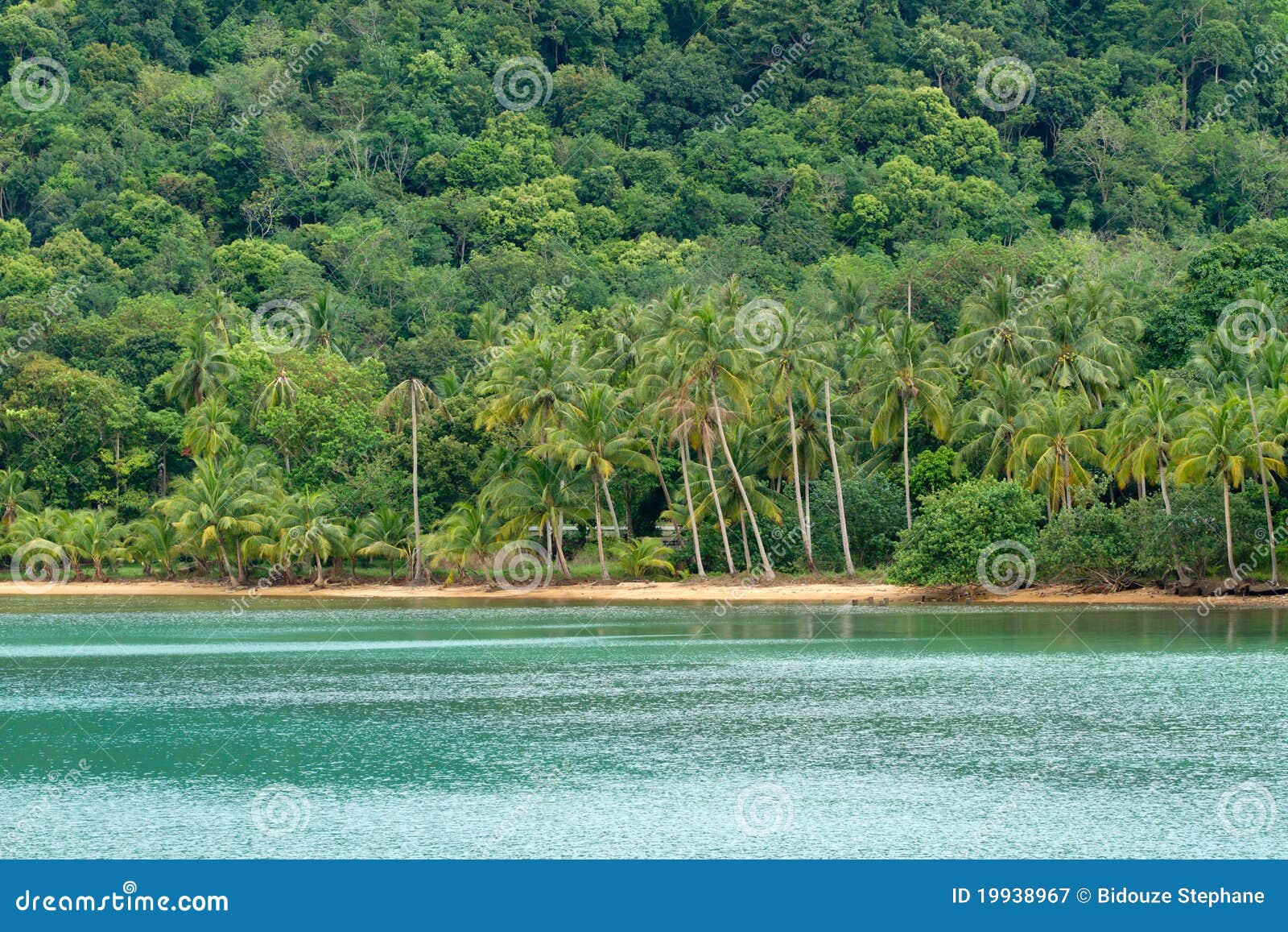 Tropical beach and forest stock image. Image of shore - 19938967